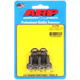 AR741-0750 - 12PT BOLTS 5/16" UNF x .750"